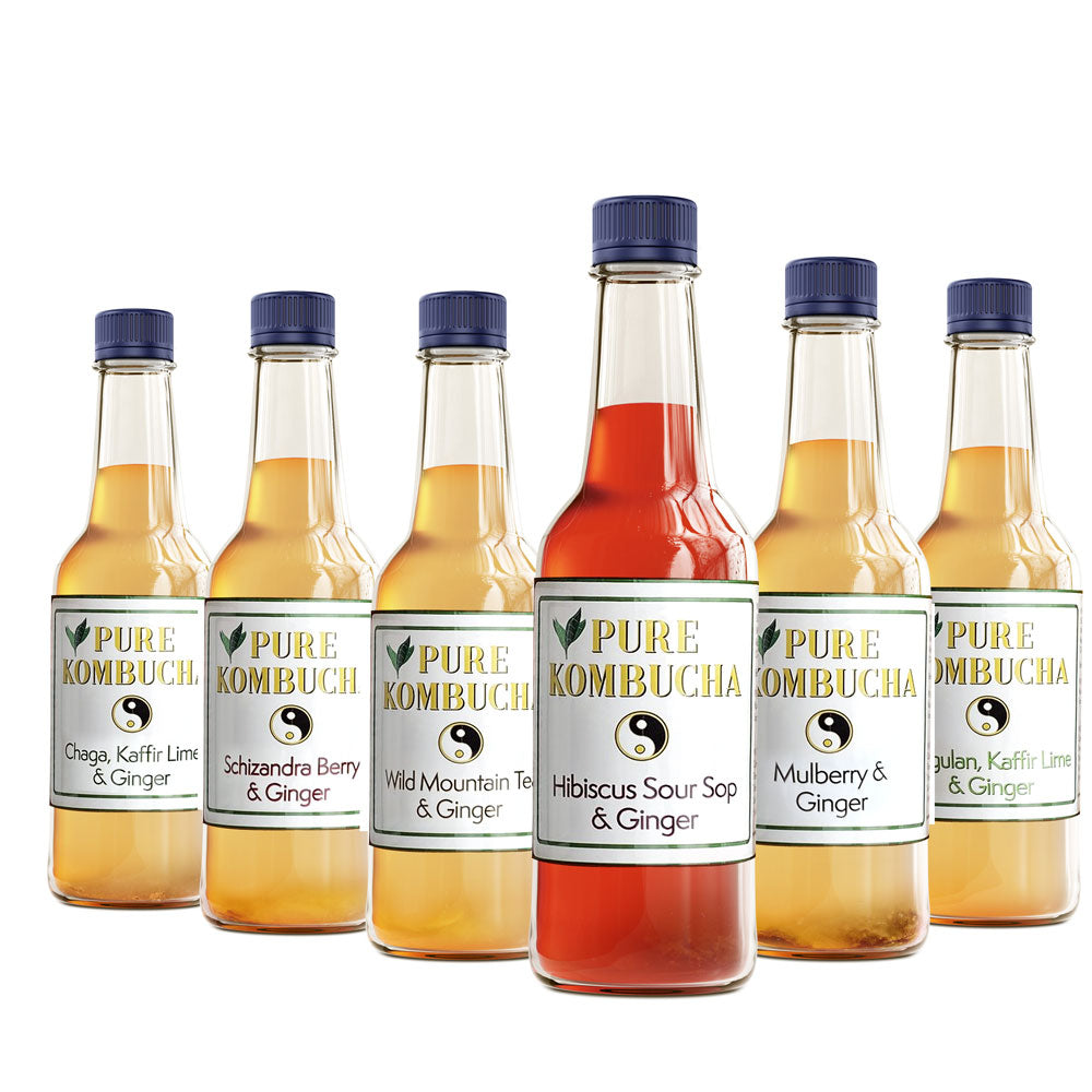 HAND CRAFTED PURE KOMBUCHA COLLECTION BOX (6 BOTTLES) – Pure Kombucha UK